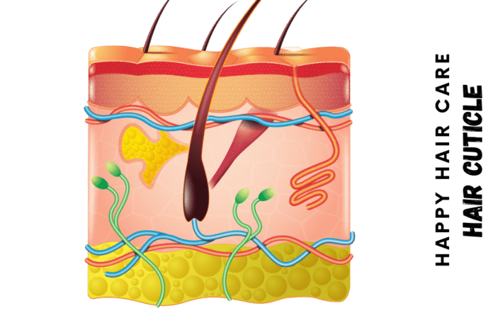 How to Prevent Split Ends - The Ultimate Guide for Healthy and Vibrant ...